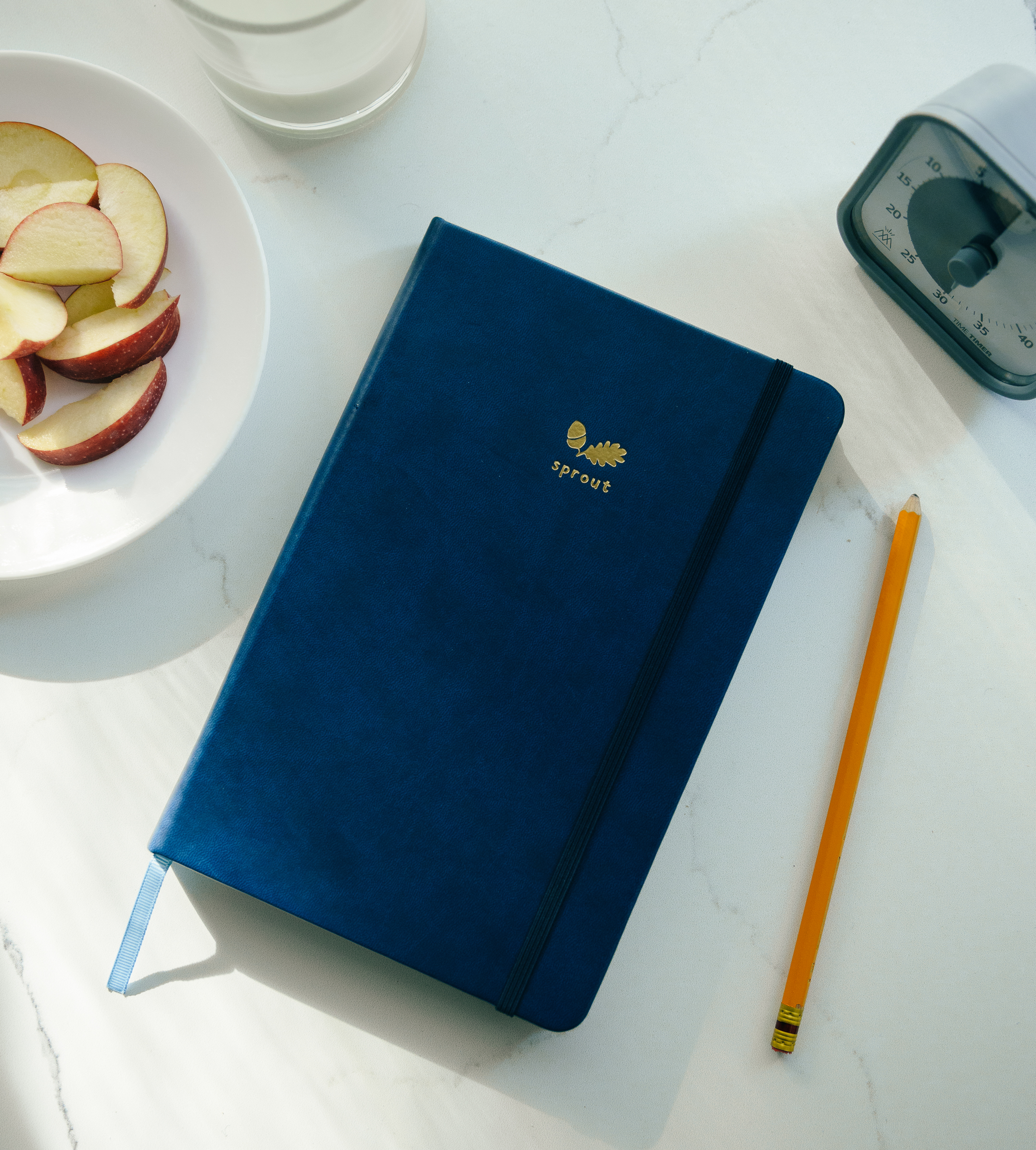 Sprout Journal for Kids – Monk Manual