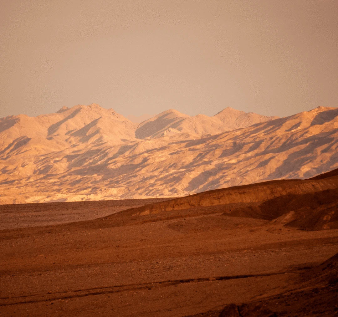 Monk Manual - A Daily System for Being and Doing